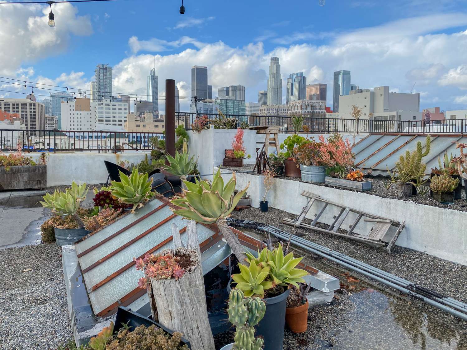 Rooftop Garden DTLA | Filming and Photography Location | Downtown Los ...