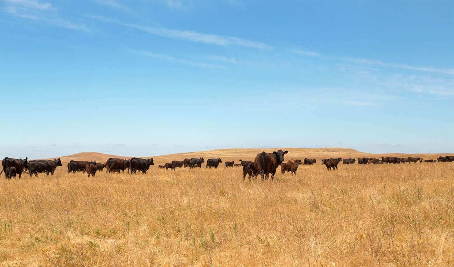 Browse Ranch Photo Shoot & Filming Locations | Location Library | Image ...