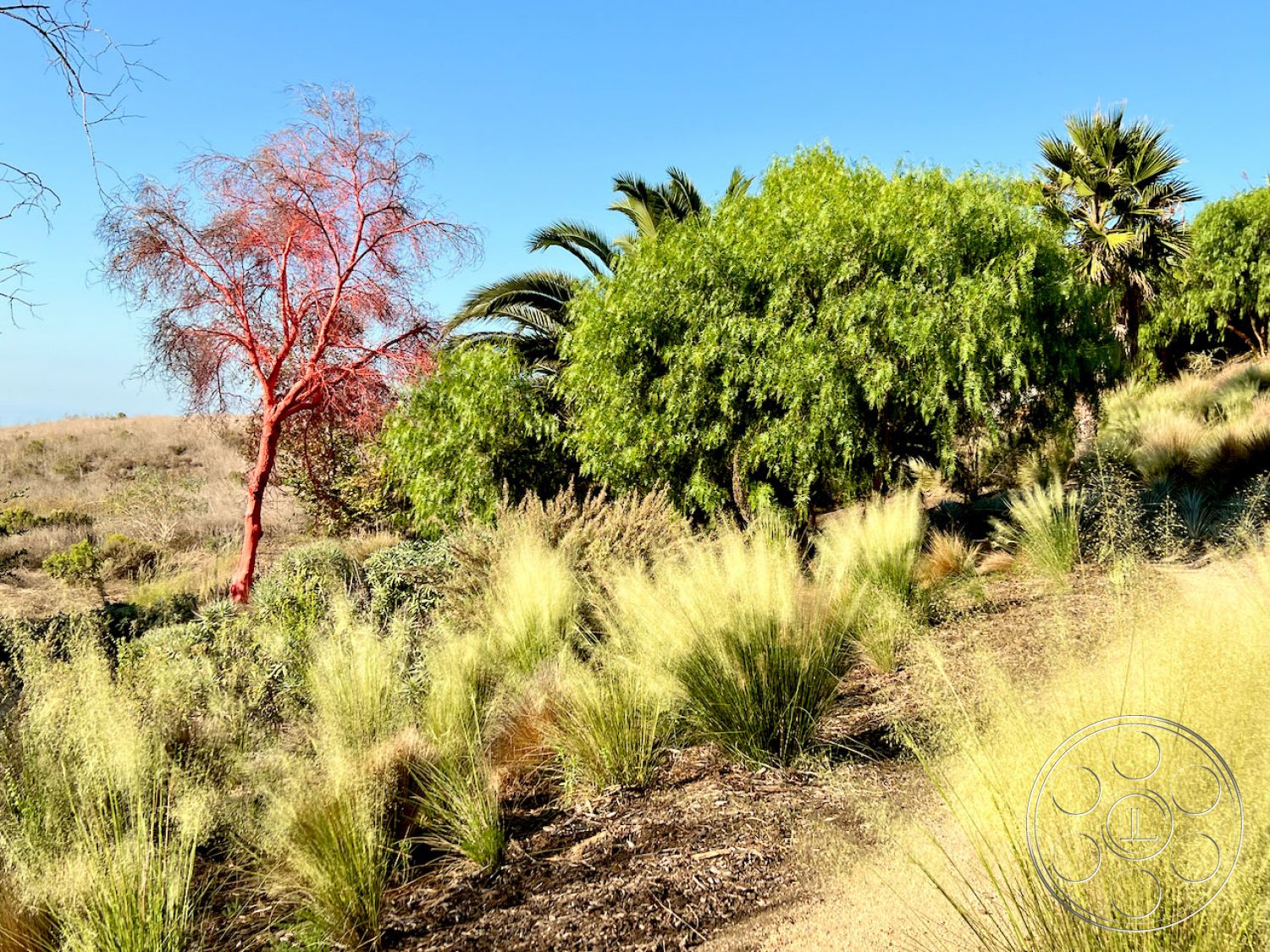 Zen Garden | Film At Zen Garden located in Malibu